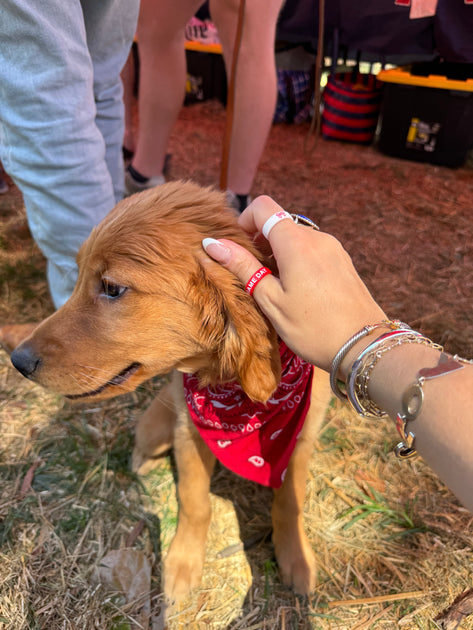Flip Reversible Game Day / Tailgate Ring Red – FlipRings